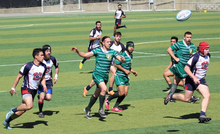 Most Popular Rugby Competitions Around the World – playtouchrugbyleague ...